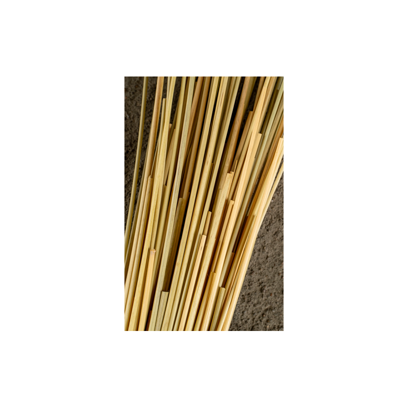 Paille de seigle pour rempaillage et marqueterie - BDF Douineau
